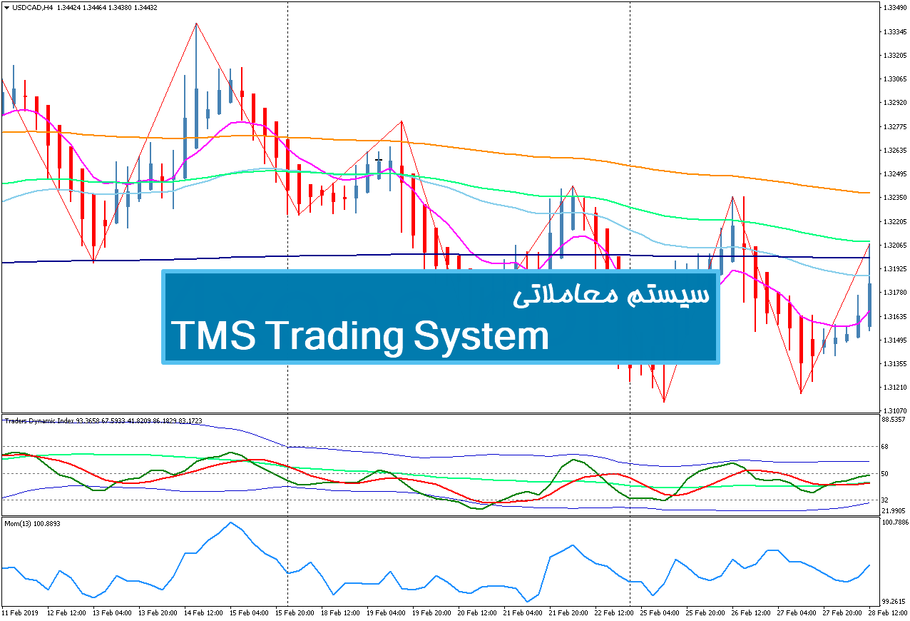 سیستم معاملاتی TMS Trading System - پازل
